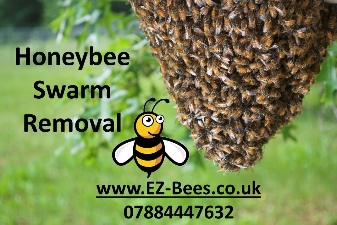 Swarm Rescue - EZ Bees