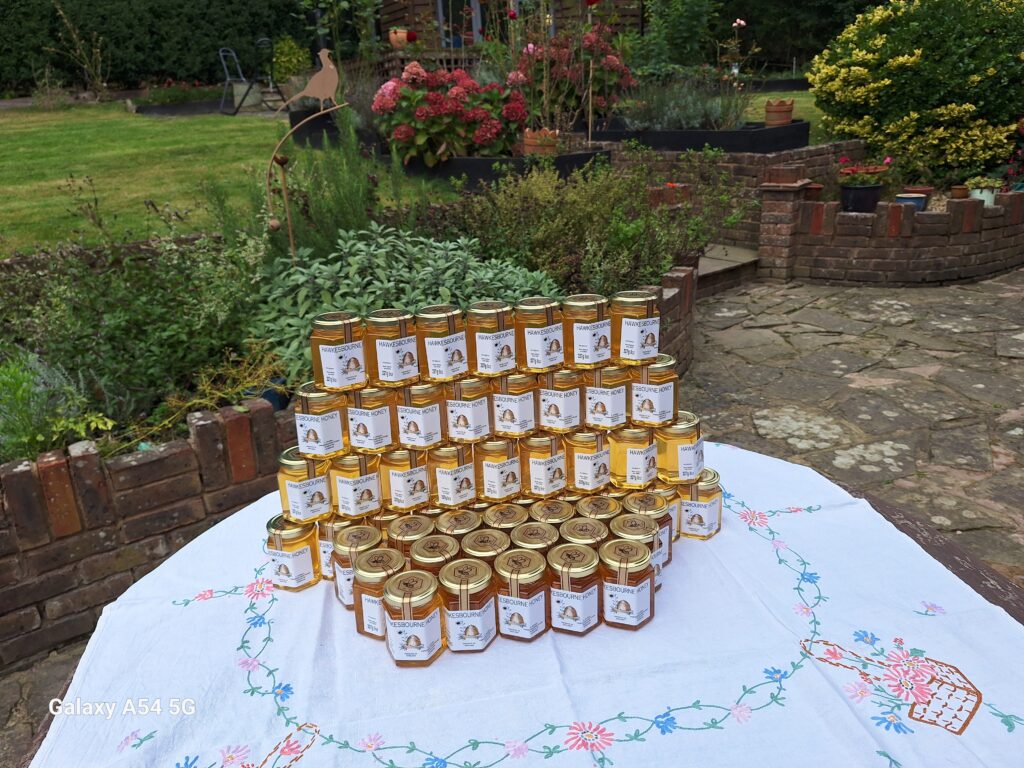 Honey Harvest 2024 - EZ Bees