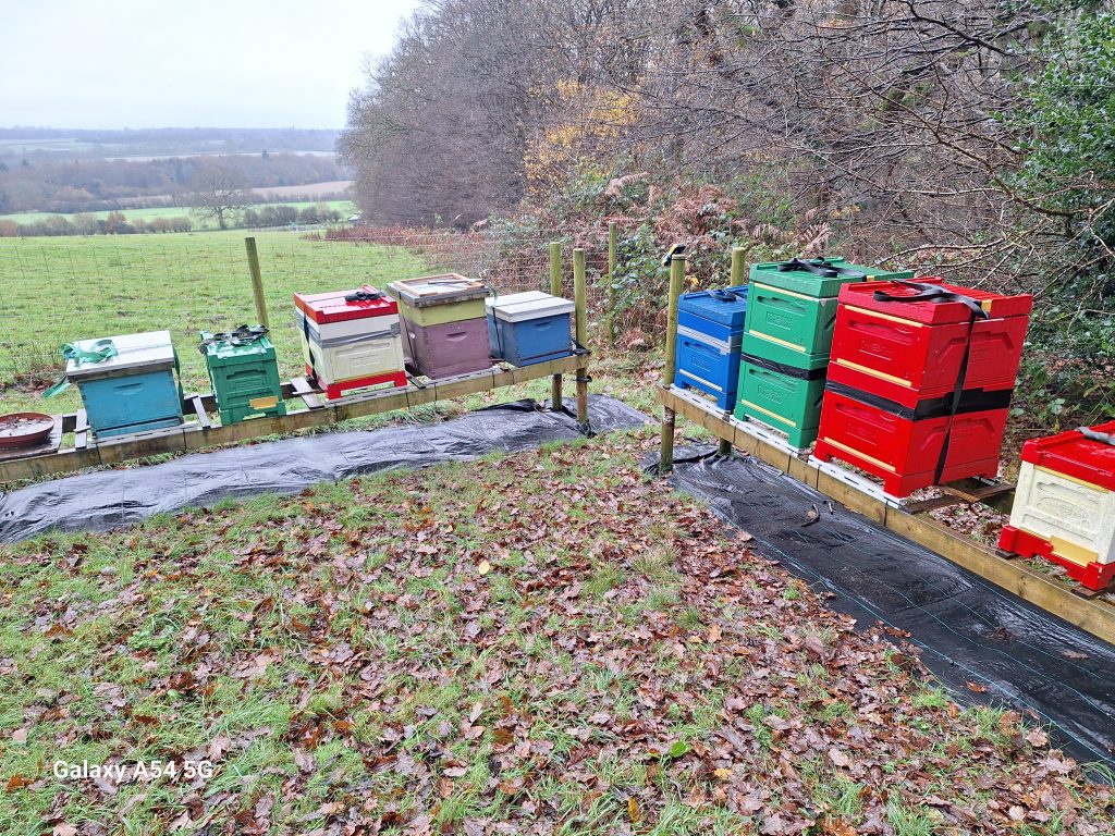 Spring 2025 - EZ Bees